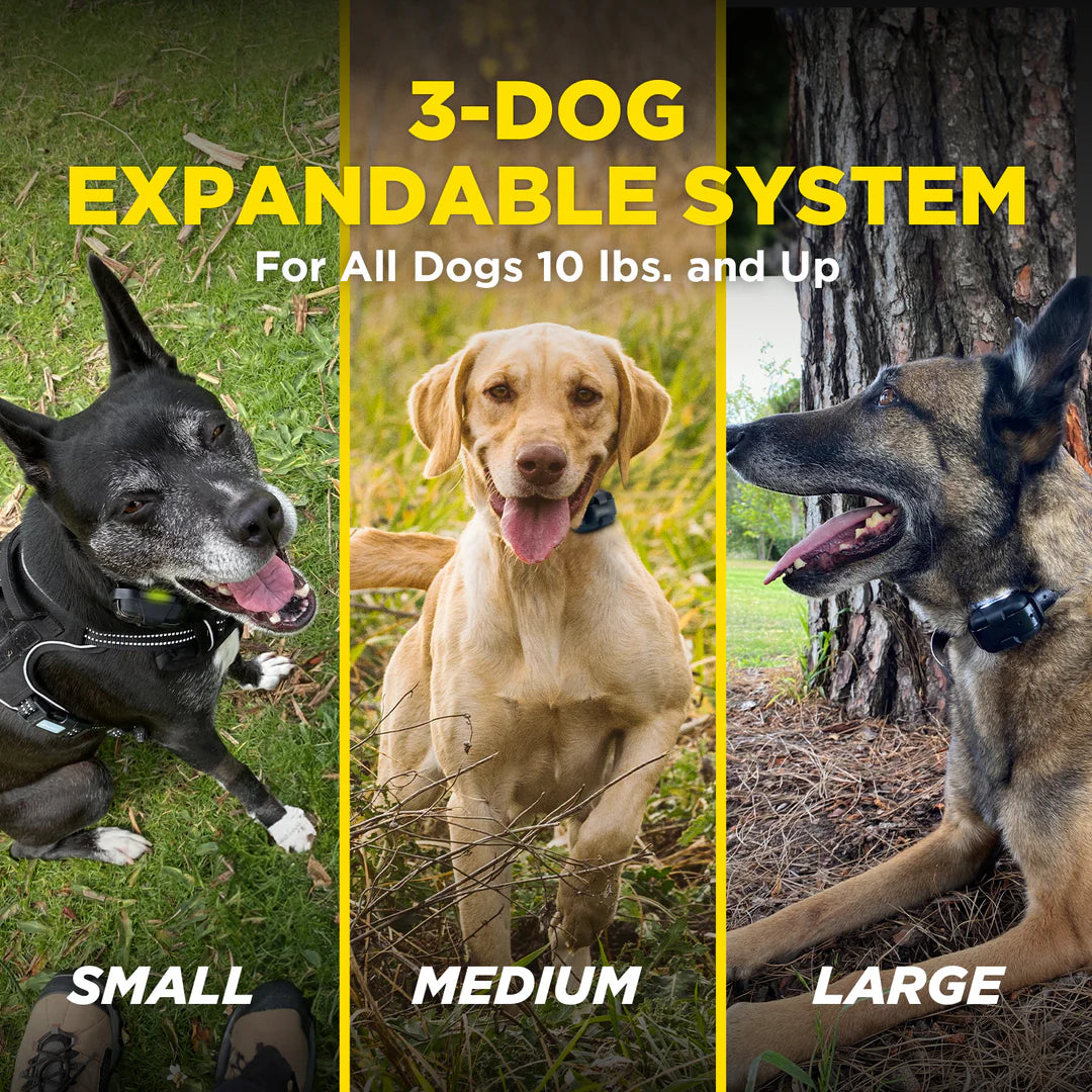 280X 2-DOG UNIT – Relentless Bird Dogs